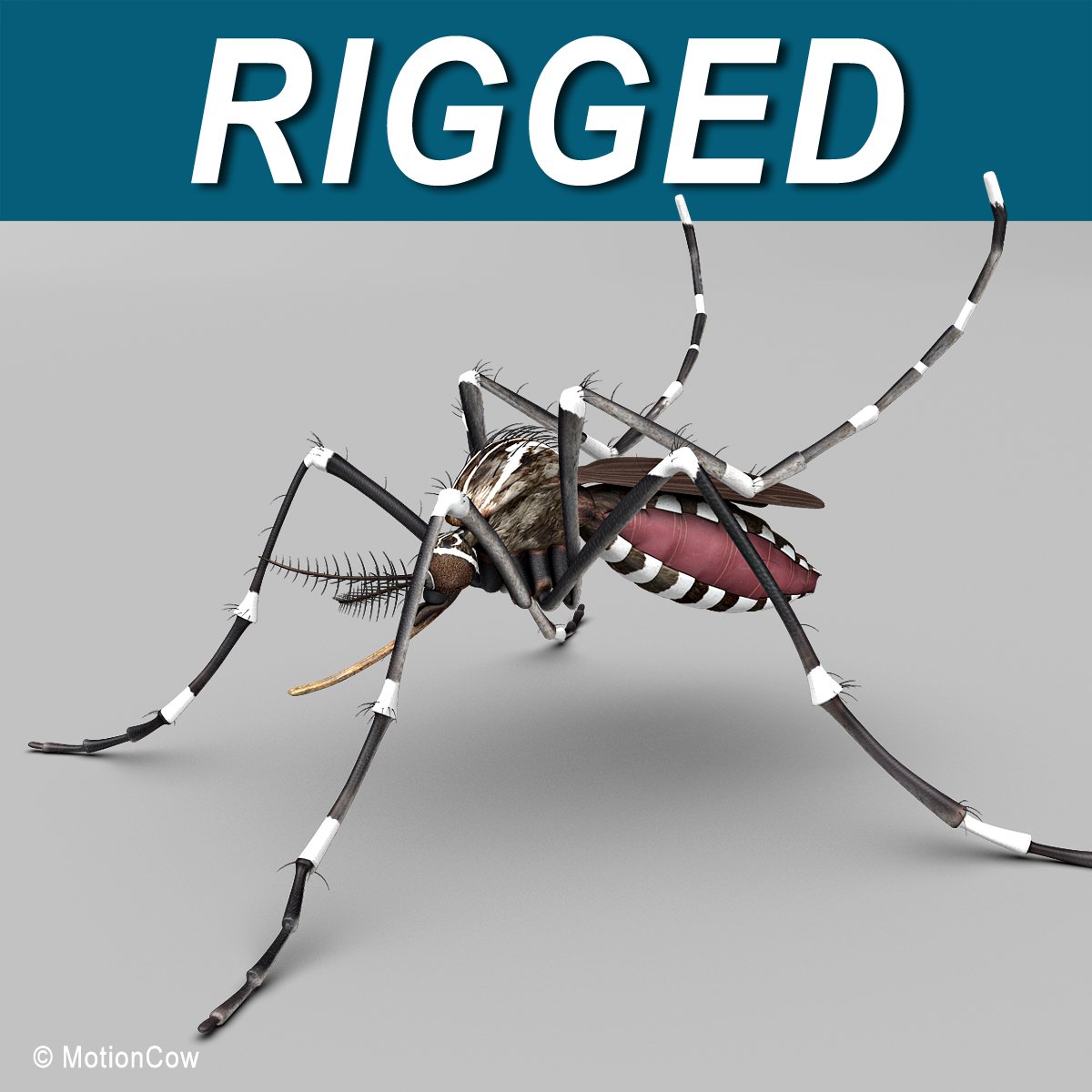 Mosquito – MotionCow