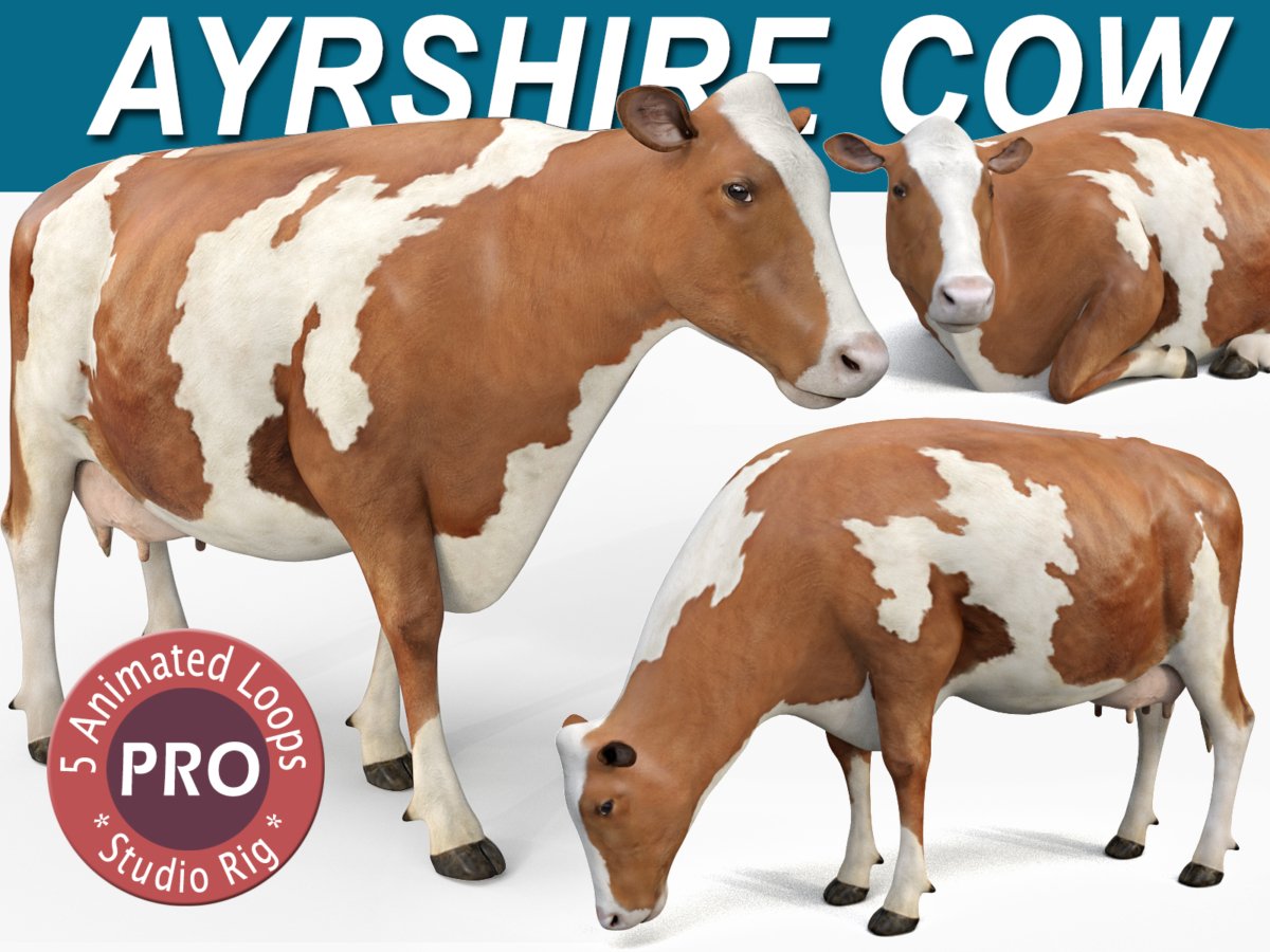 Cow PRO – Ayrshire – MotionCow